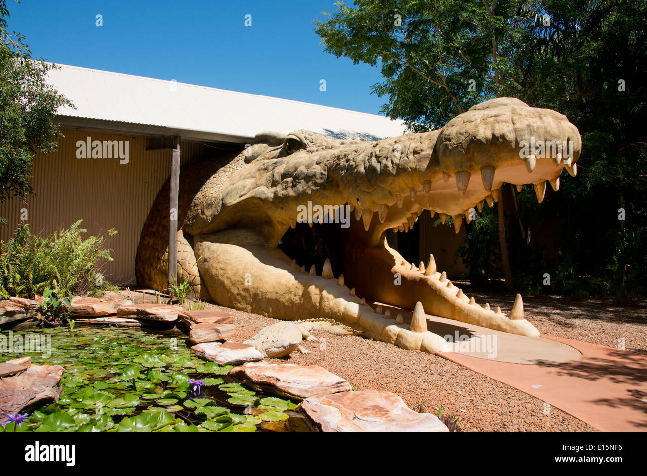 Parc de crocodiles Banque de photographies et d’images à haute ...