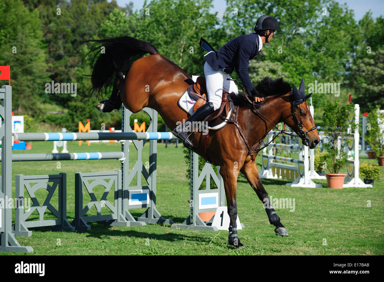 Cavalier au saut à cheval sur obstacle pendant une compétition équestre ...