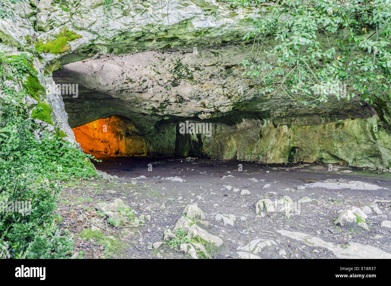 Grotte et plantes Banque de photographies et d’images à haute ...