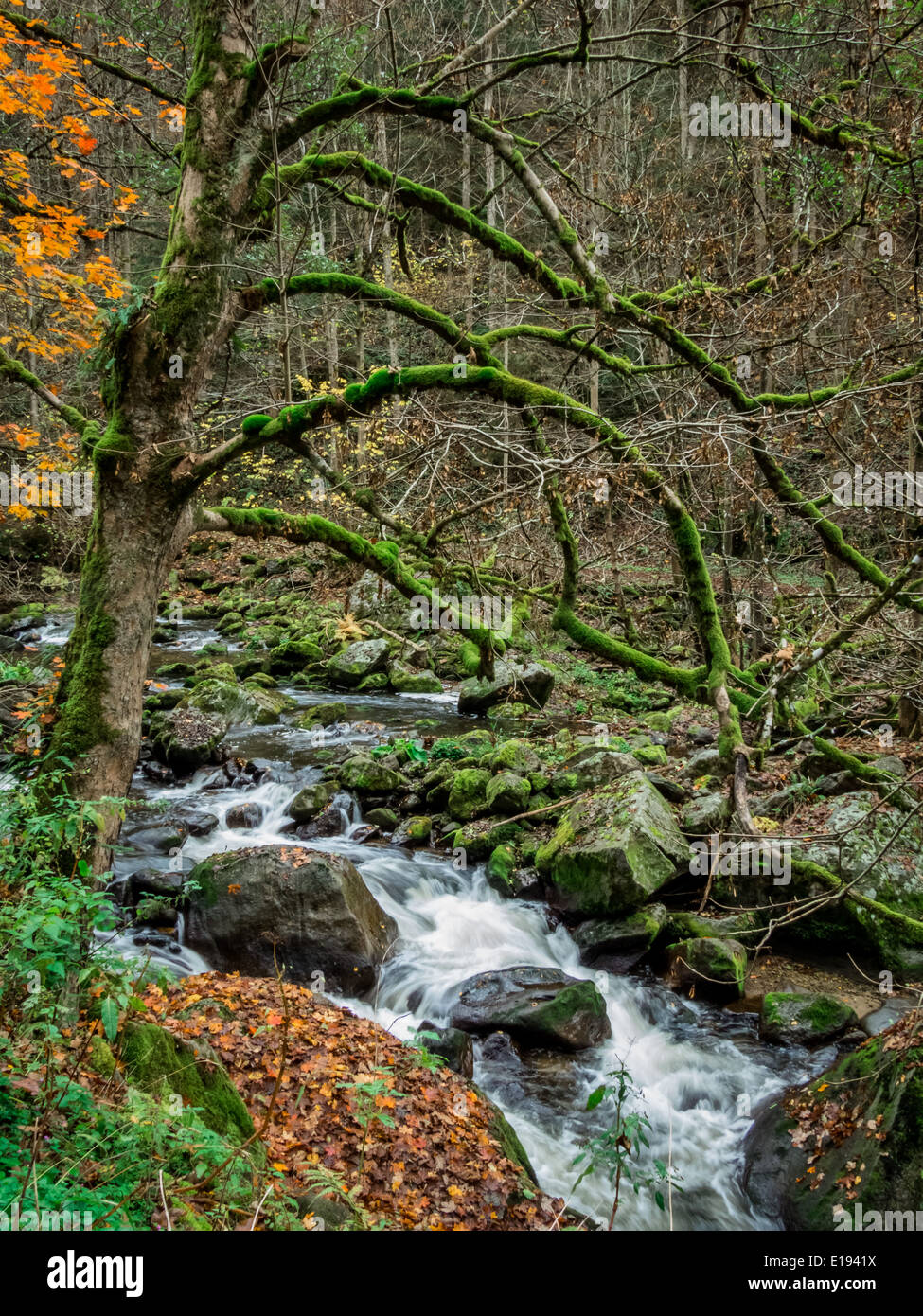 Natur erleben Banque de photographies et d’images à haute résolution ...