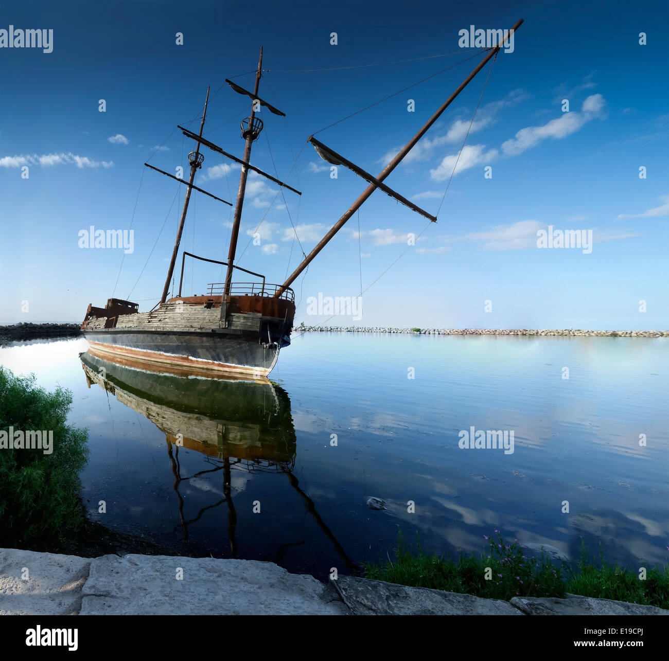 Grande Hermine Banque d'image et photos - Alamy