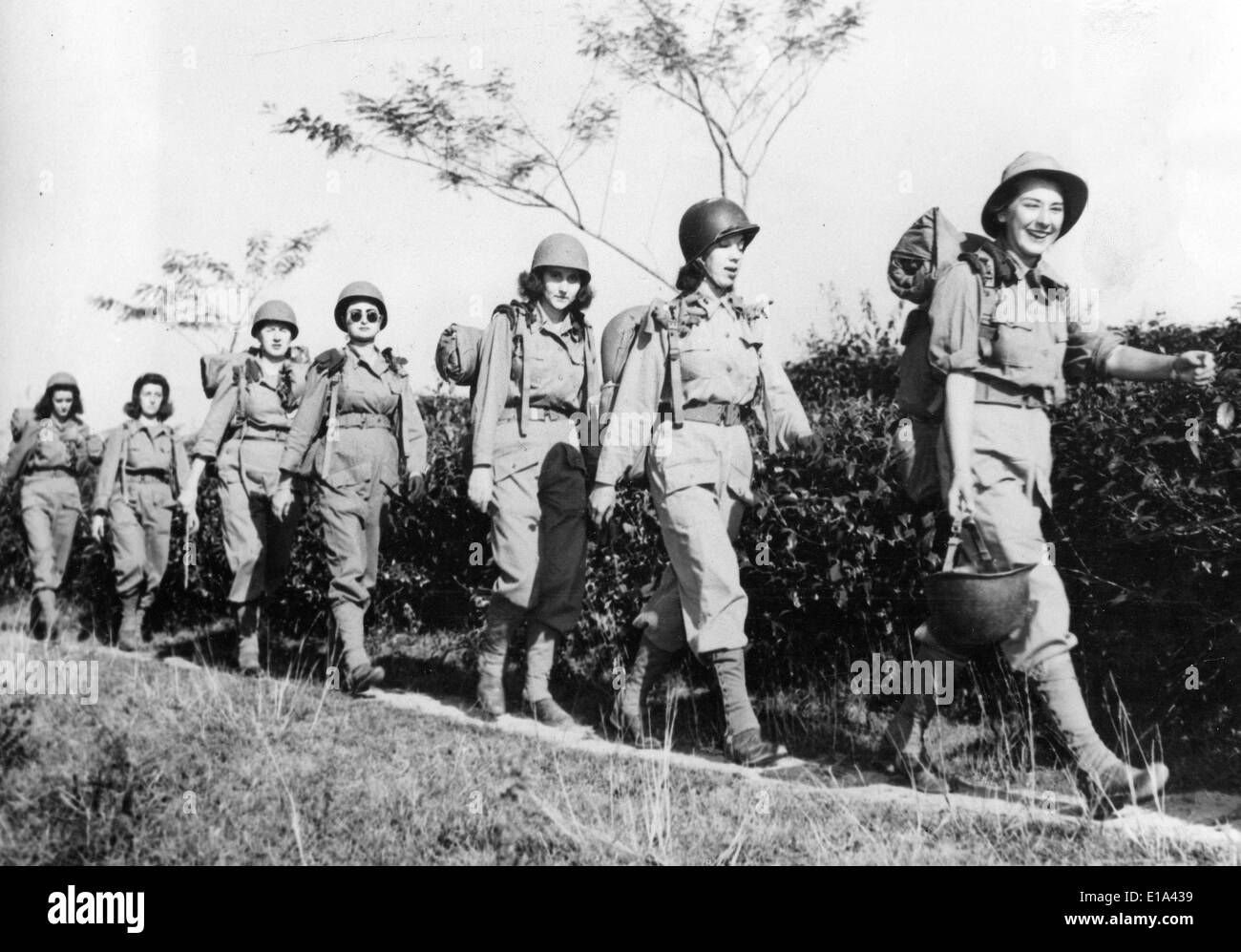 Us army ww2 anc Banque de photographies et d’images à haute résolution ...