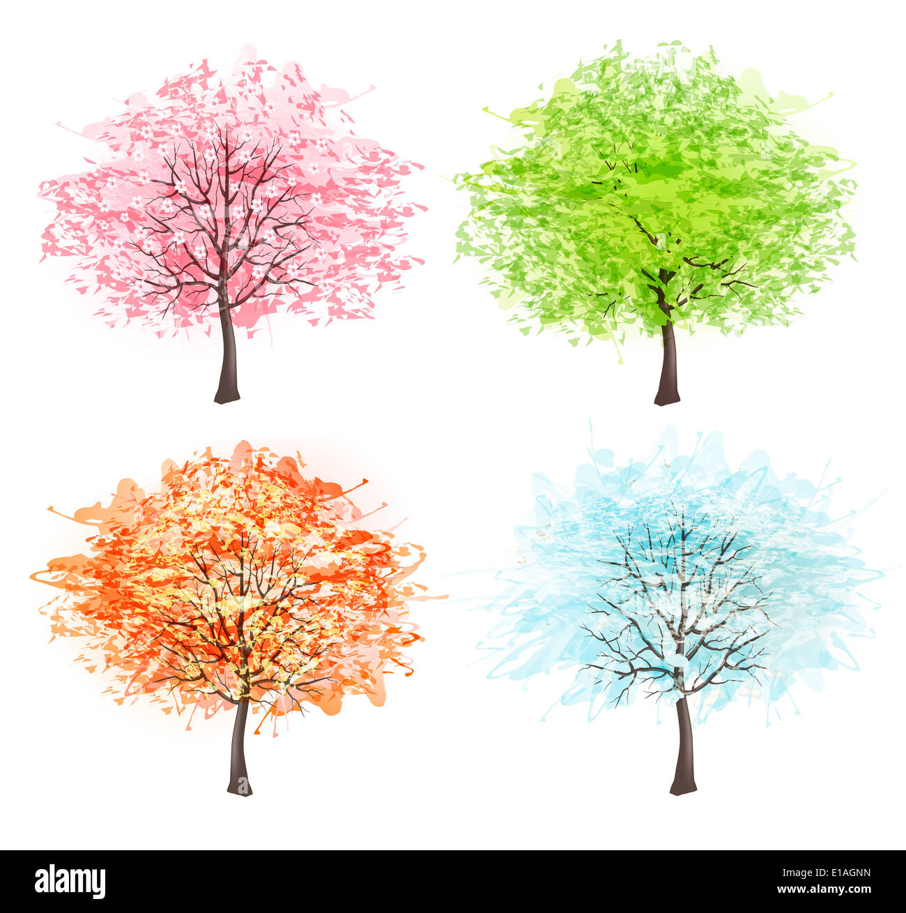 Quatre saisons - printemps, été, automne, hiver. Arbre généalogique de ...