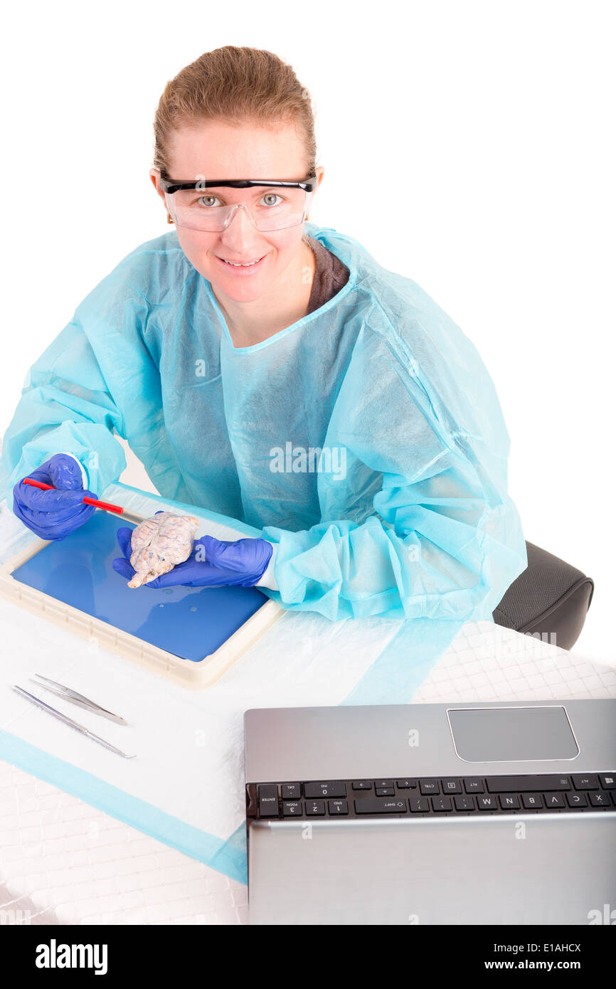 Diseccion de anatomia Banque de photographies et d’images à haute ...