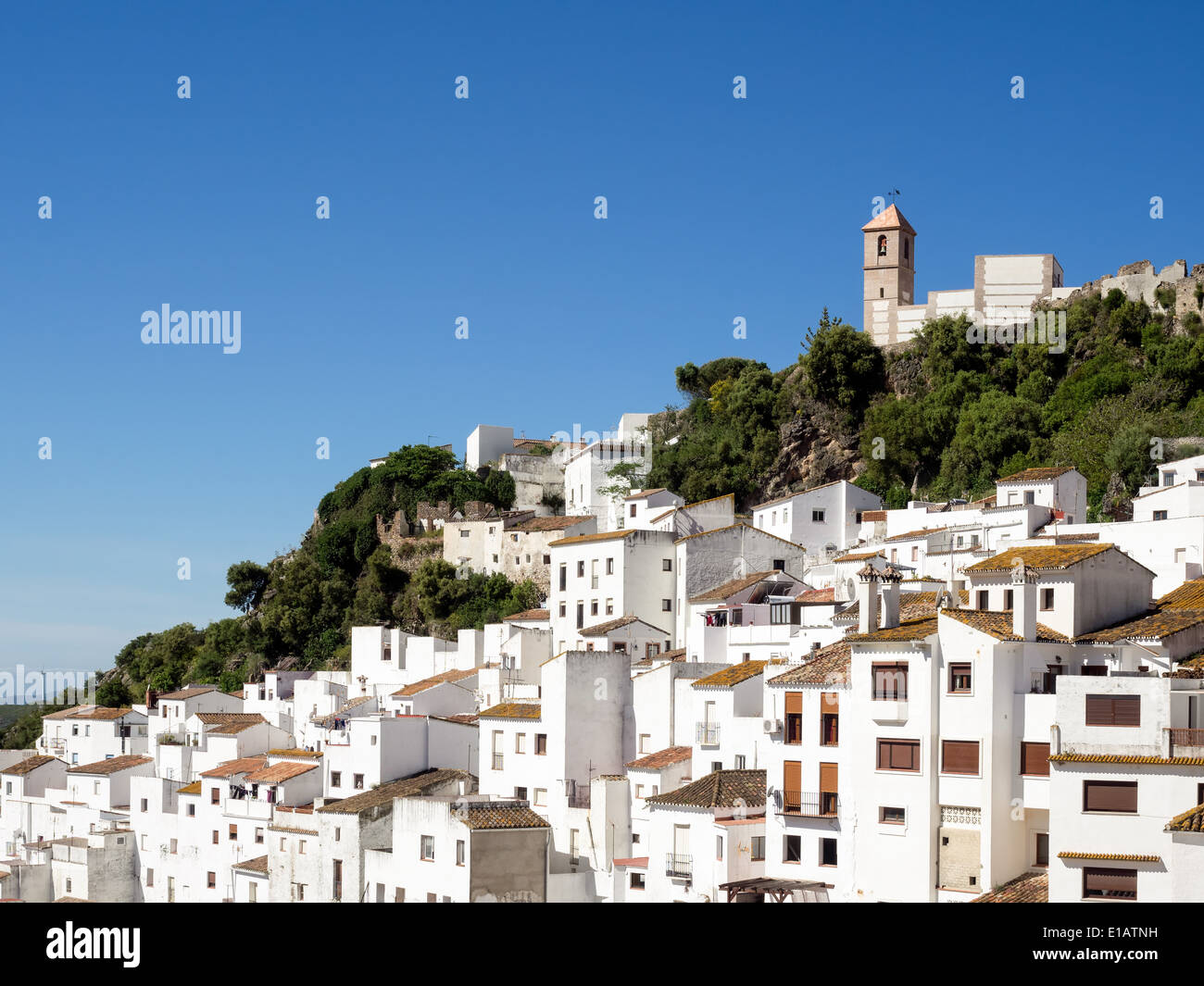 Avis de Motril en Espagne Photo Stock - Alamy
