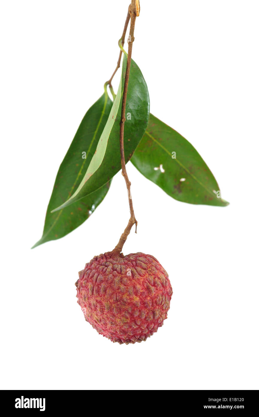 Litchi fruits Banque de photographies et d’images à haute résolution ...