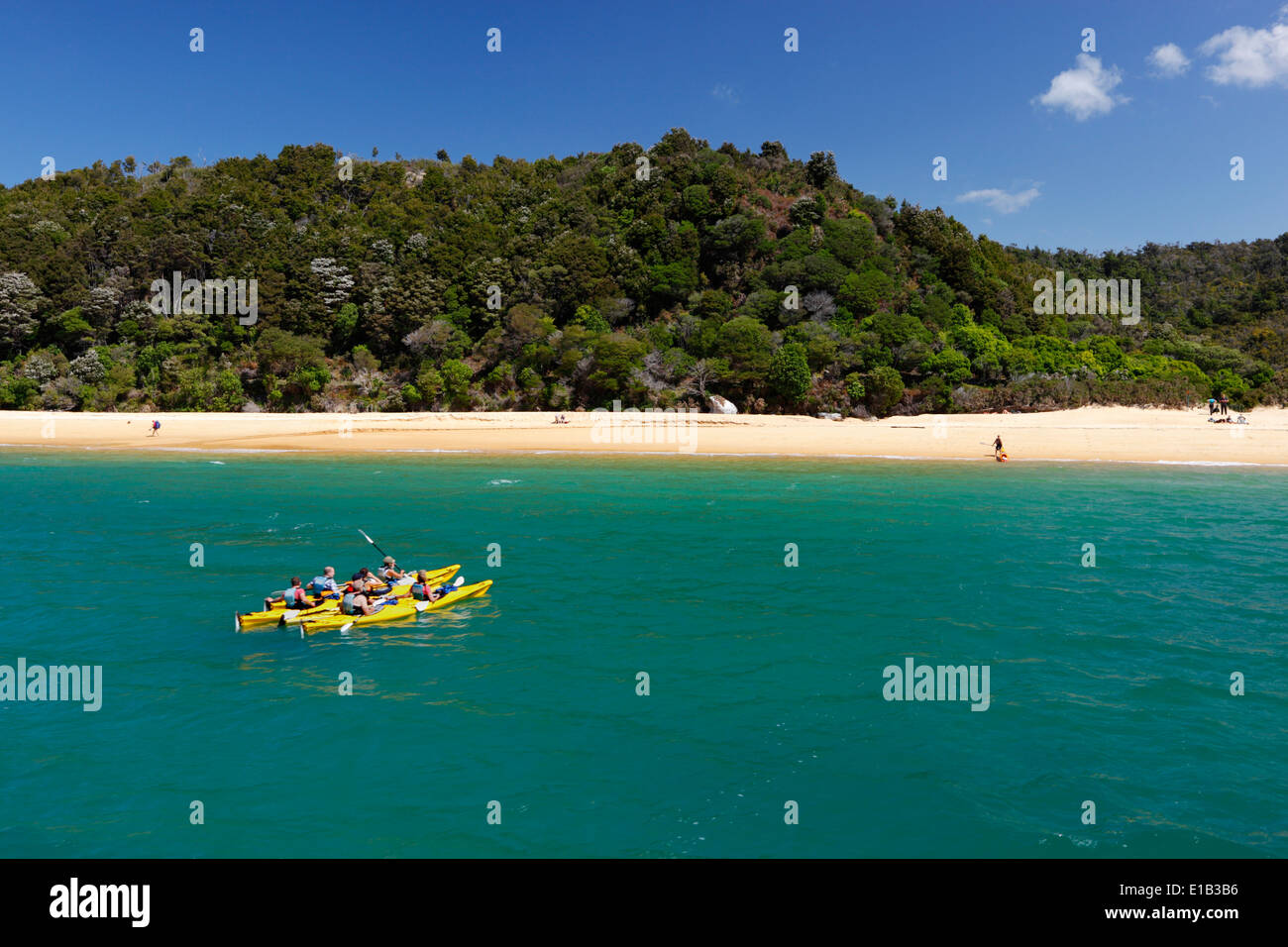 Torrent nz Banque de photographies et d’images à haute résolution - Alamy