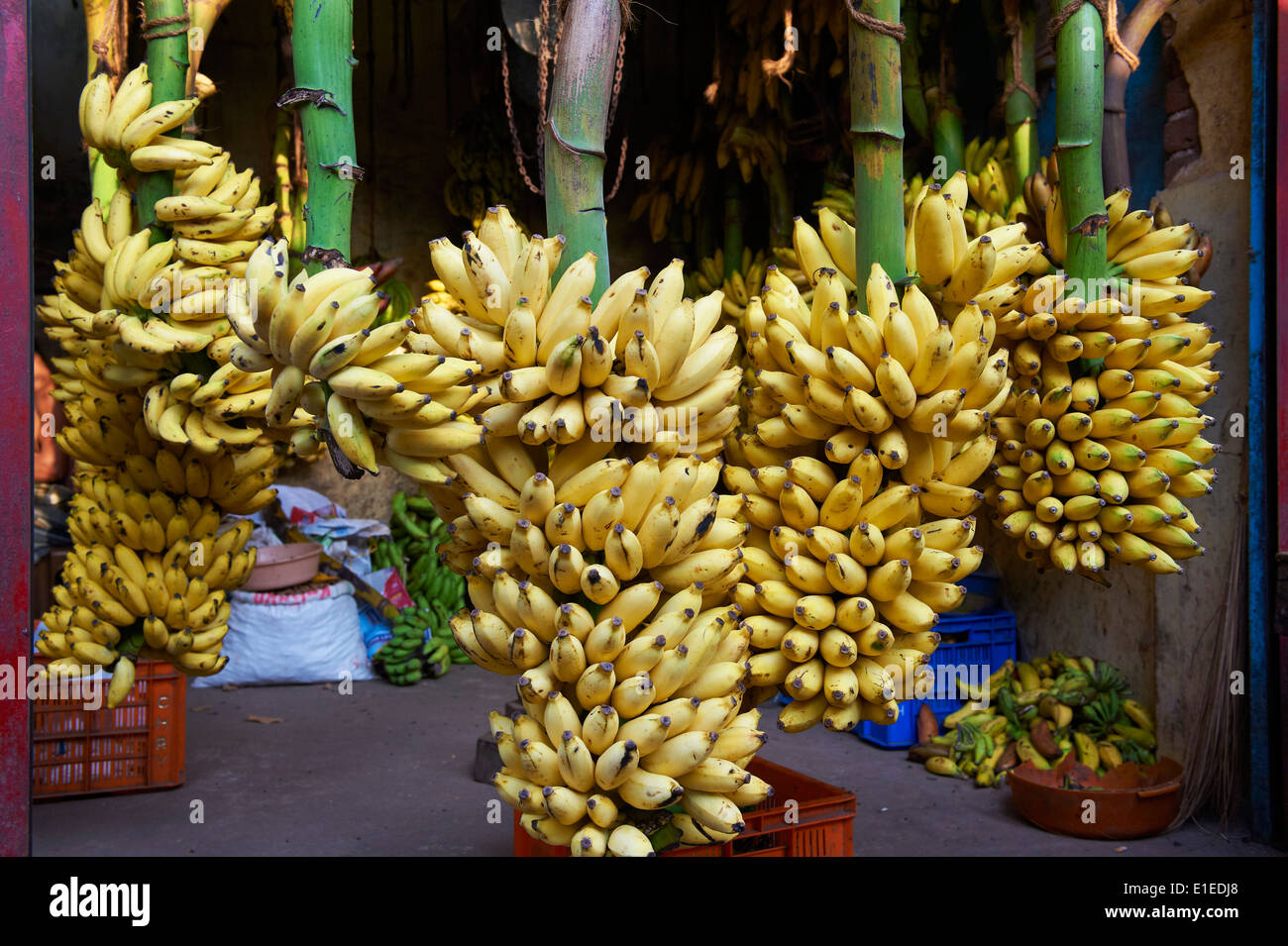Kerala fruit market Banque de photographies et d’images à haute ...