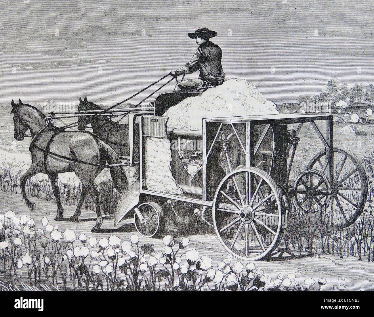 Cotton picking machine Banque de photographies et d’images à haute ...