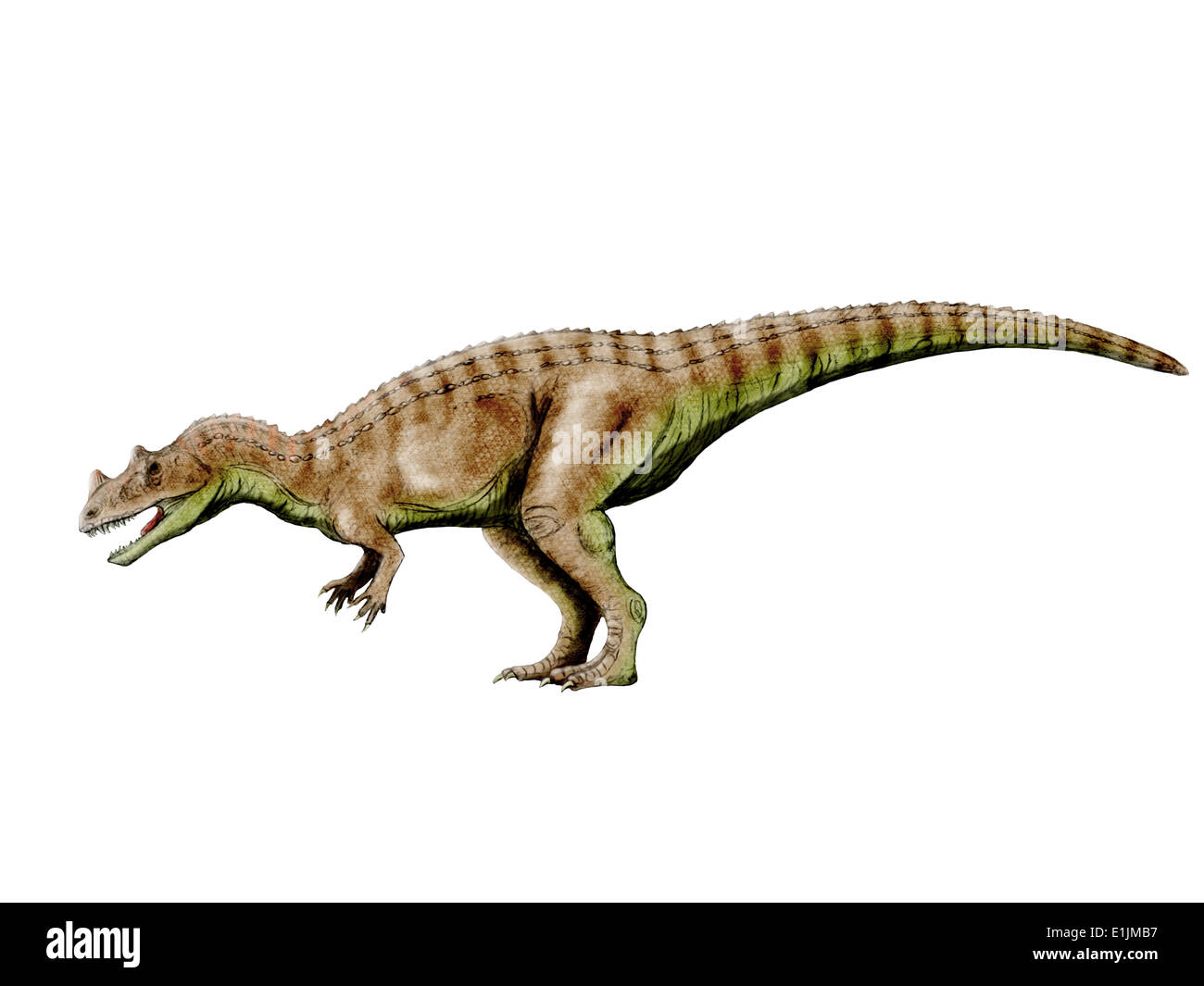 Dinosaure mésozoïque Banque de photographies et d’images à haute résolution - Alamy