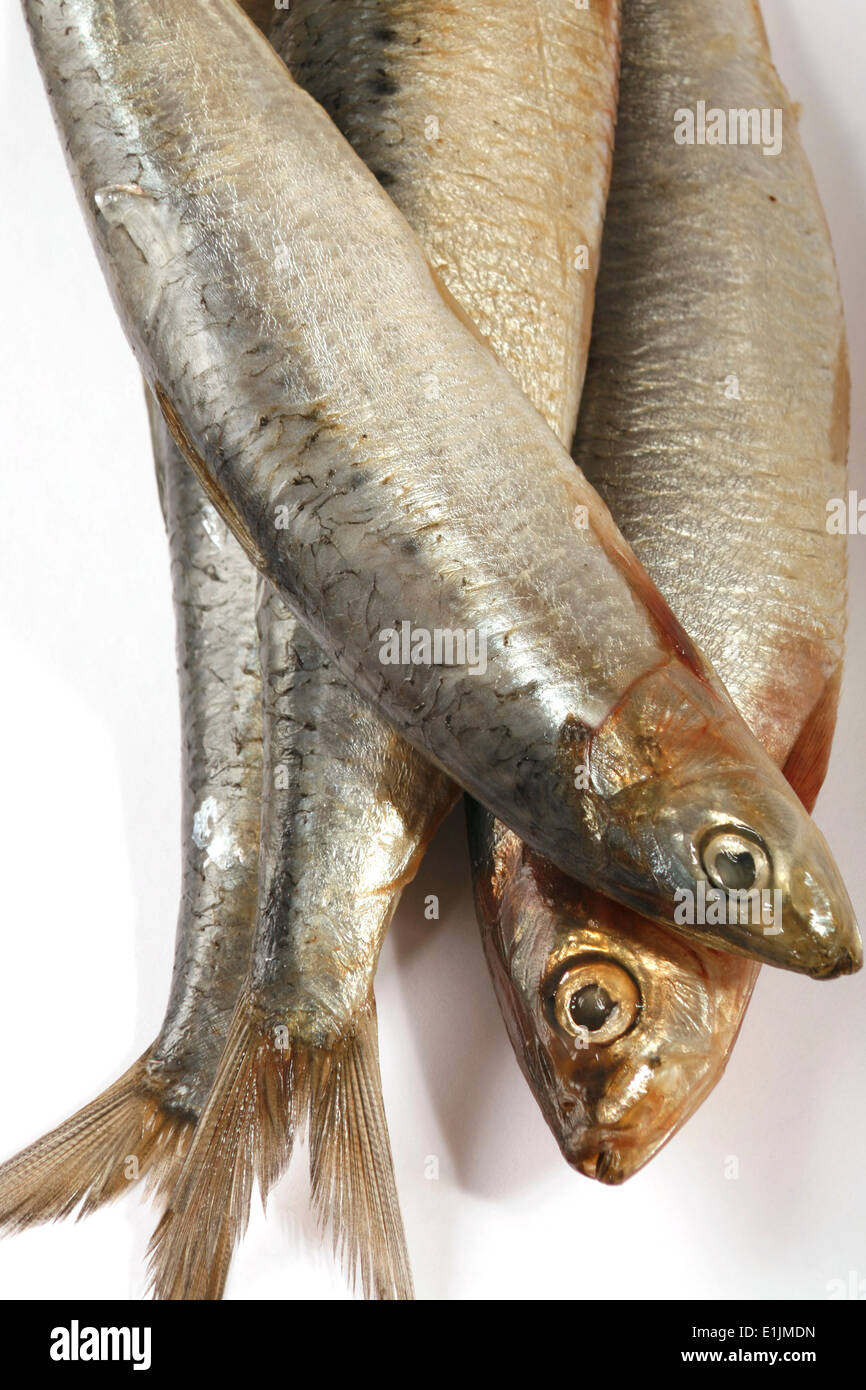 Les poissons gras Banque de photographies et d’images à haute ...