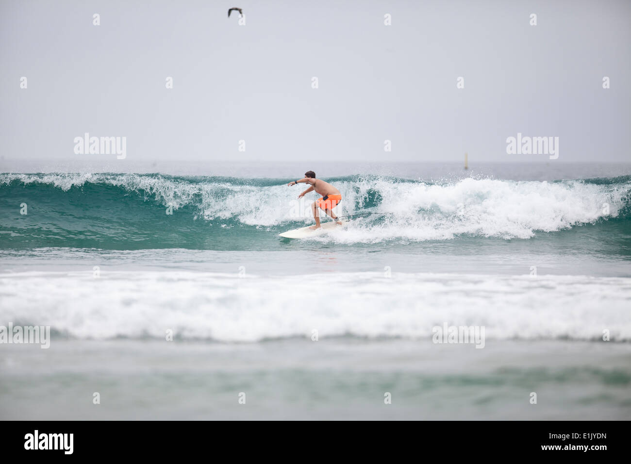 Surfeur sur une vague Banque de photographies et d’images à haute ...