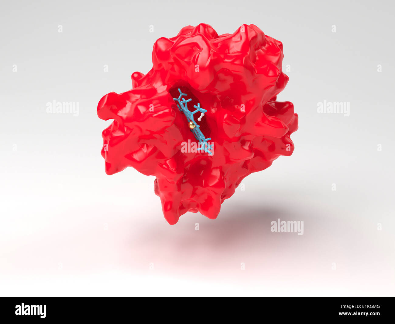 Hemoglobin molecule Banque de photographies et d’images à haute ...