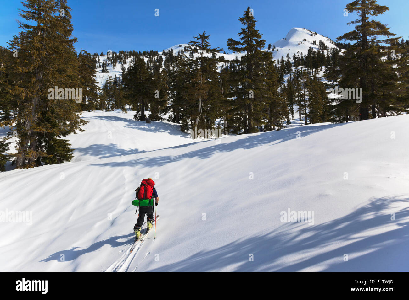 Le sentier monte d'un skieur à Edwards Lake enroute à Mt. Steele cabin ...