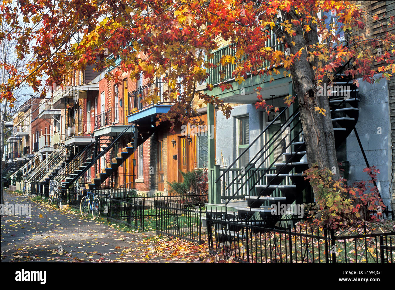 Rue, Parthenais, Montréal, Québec, Canada Photo Stock - Alamy