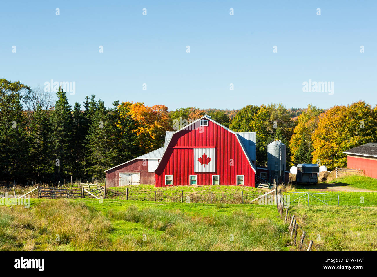 Feuille d'érable canada Banque de photographies et d’images à haute ...