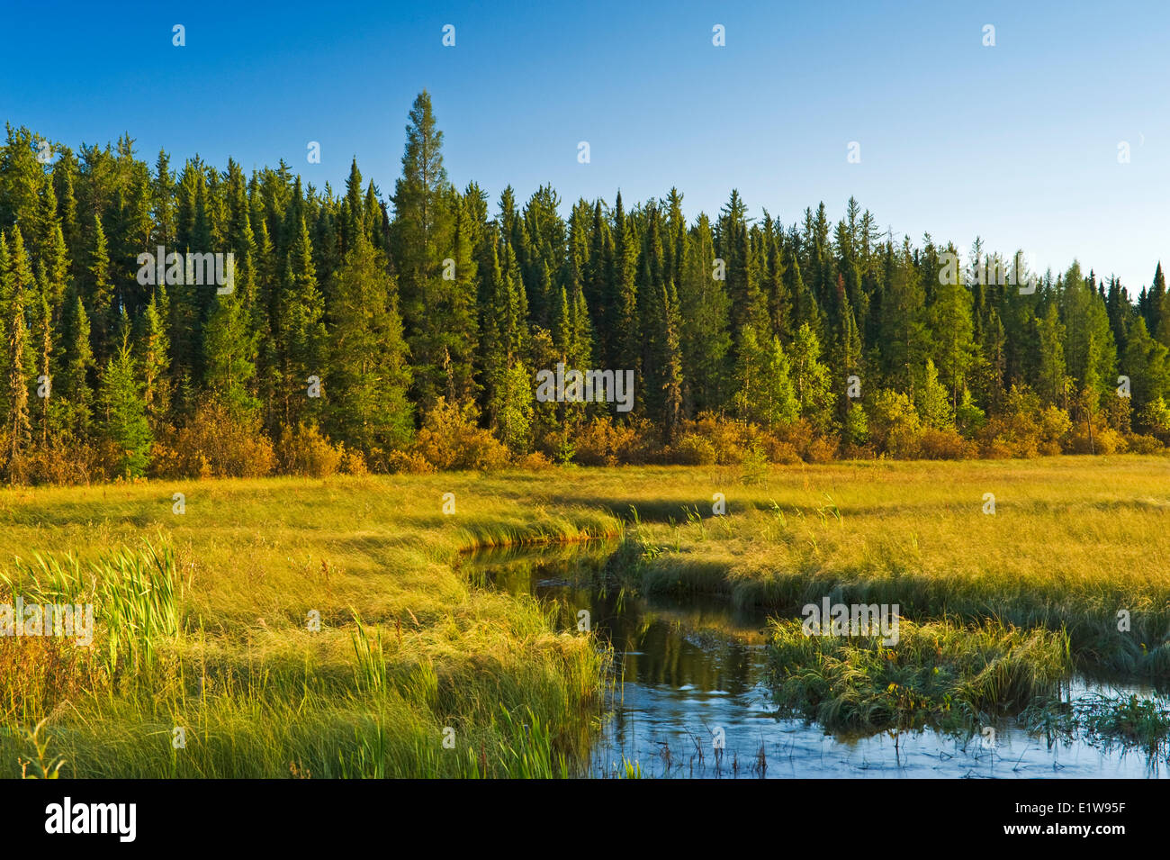 Beauval saskatchewan Banque de photographies et d’images à haute ...