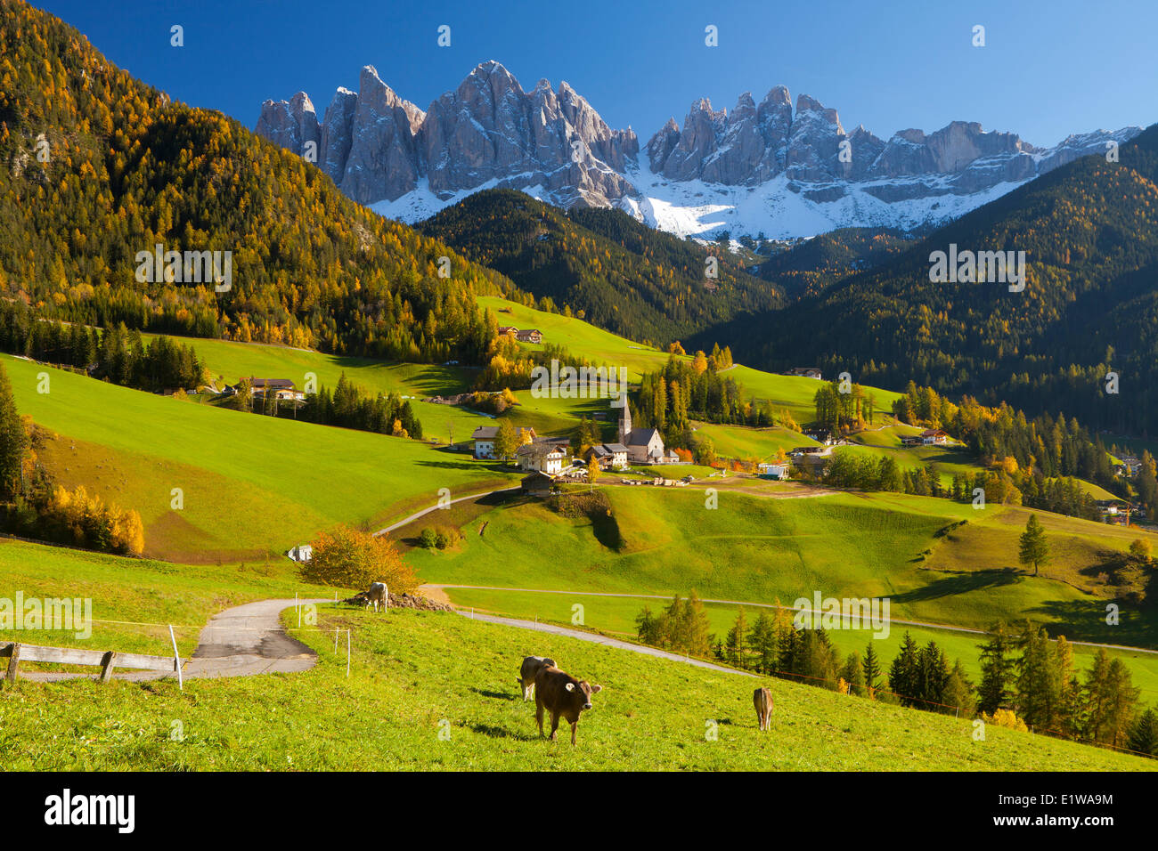 Tyrol du sud Banque de photographies et d’images à haute résolution - Alamy
