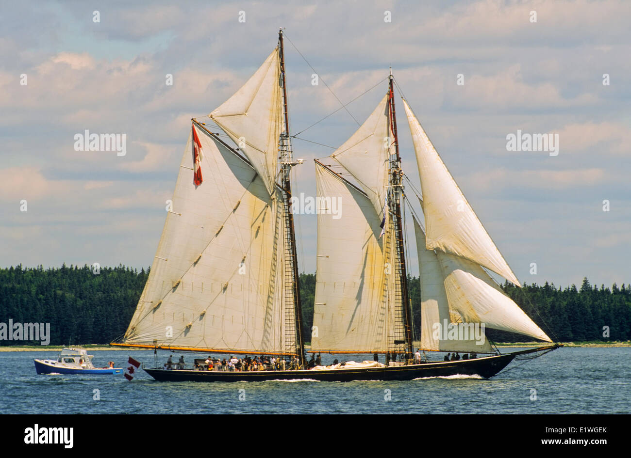 Tall Ship, '' le Bluenose Schooner, Canada, Gaff Ridd B, Halifax, Nouvelle-Écosse, Canada Photo ...