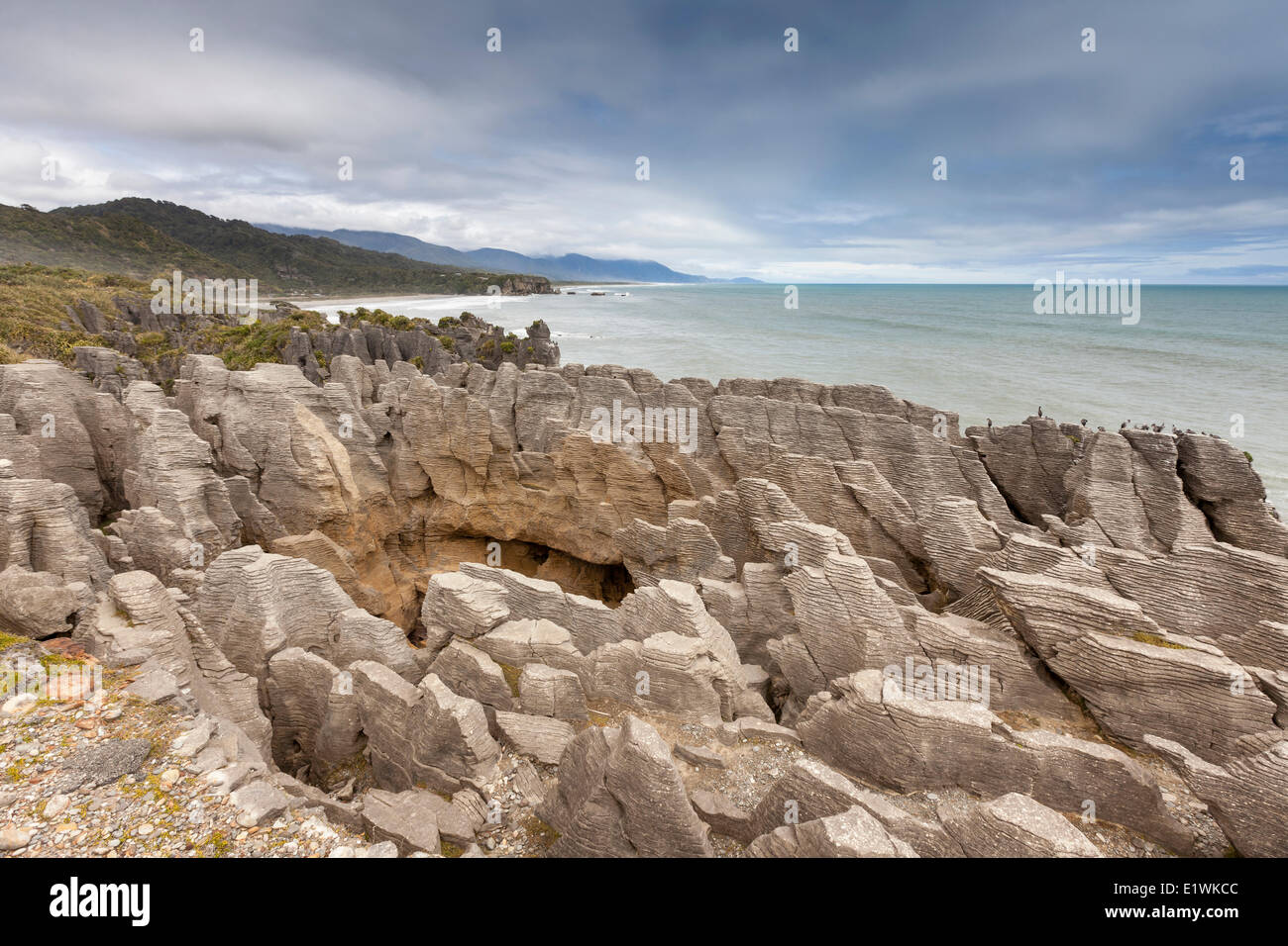 Parc national paparoa Banque de photographies et d’images à haute ...