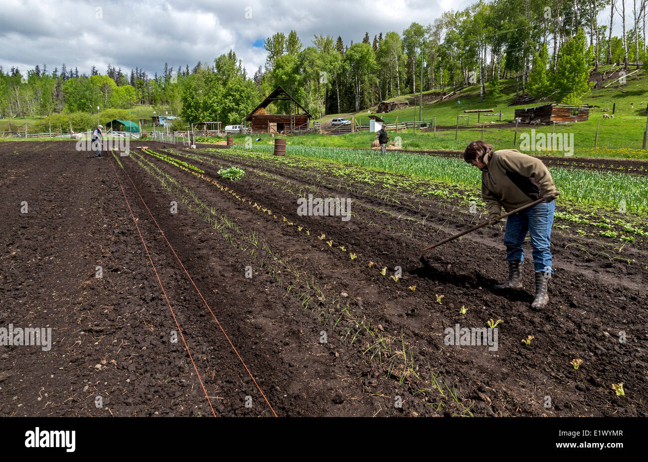 Ferme agriculture jardinage Banque de photographies et d’images à haute ...