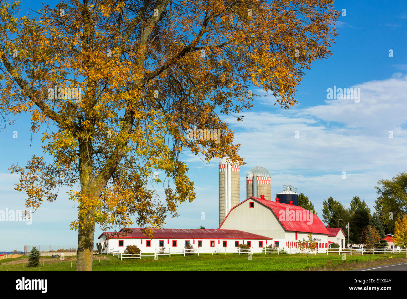 Quebec agriculture silo canada Banque de photographies et d’images à ...