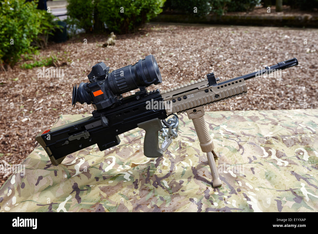 Sa80 L85 a2 carabine arme individuelle de viseur avec les armes de l ...