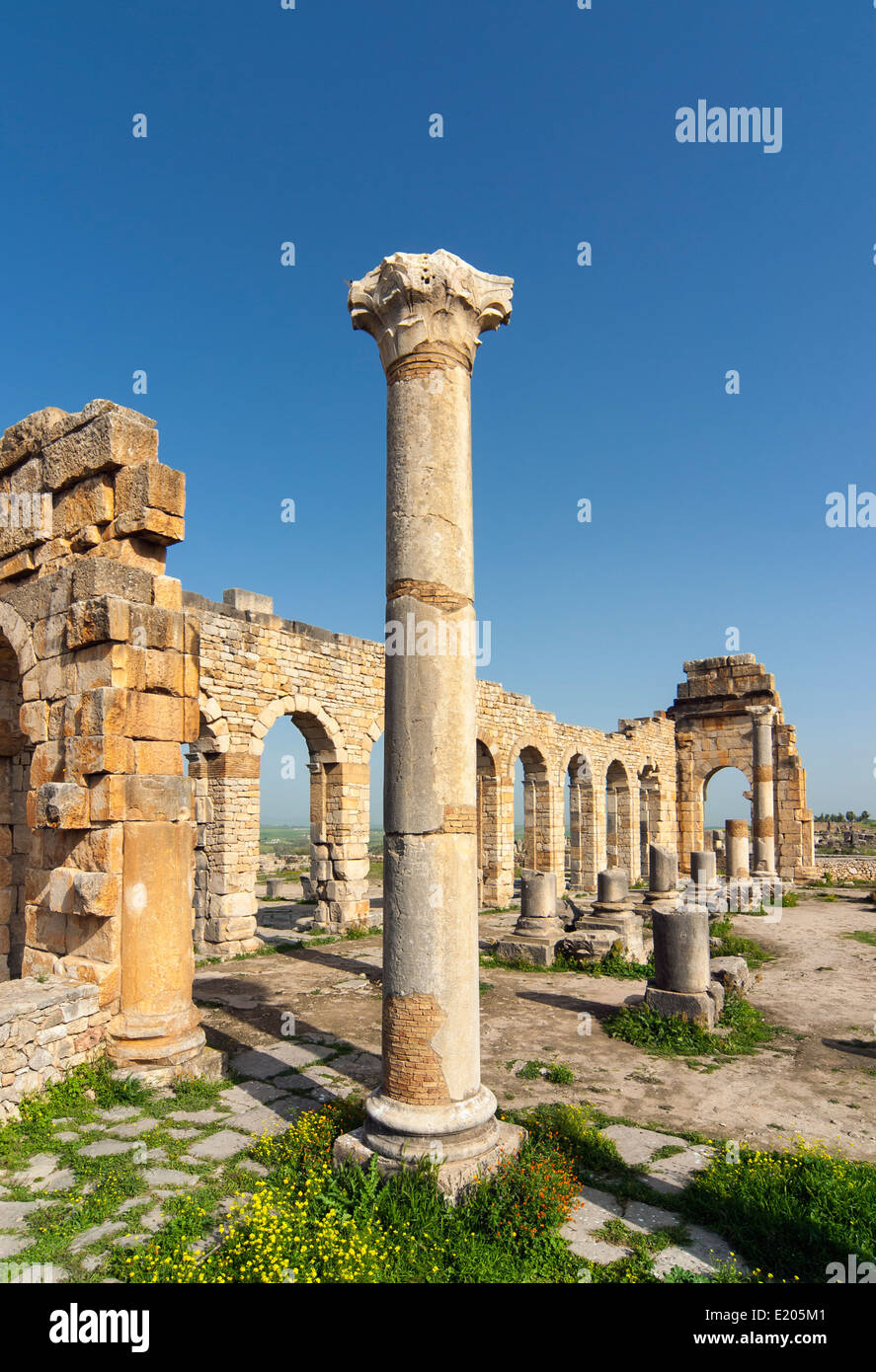 Basilique en ruines à Volubilis (Oualili) site archéologique romain ...