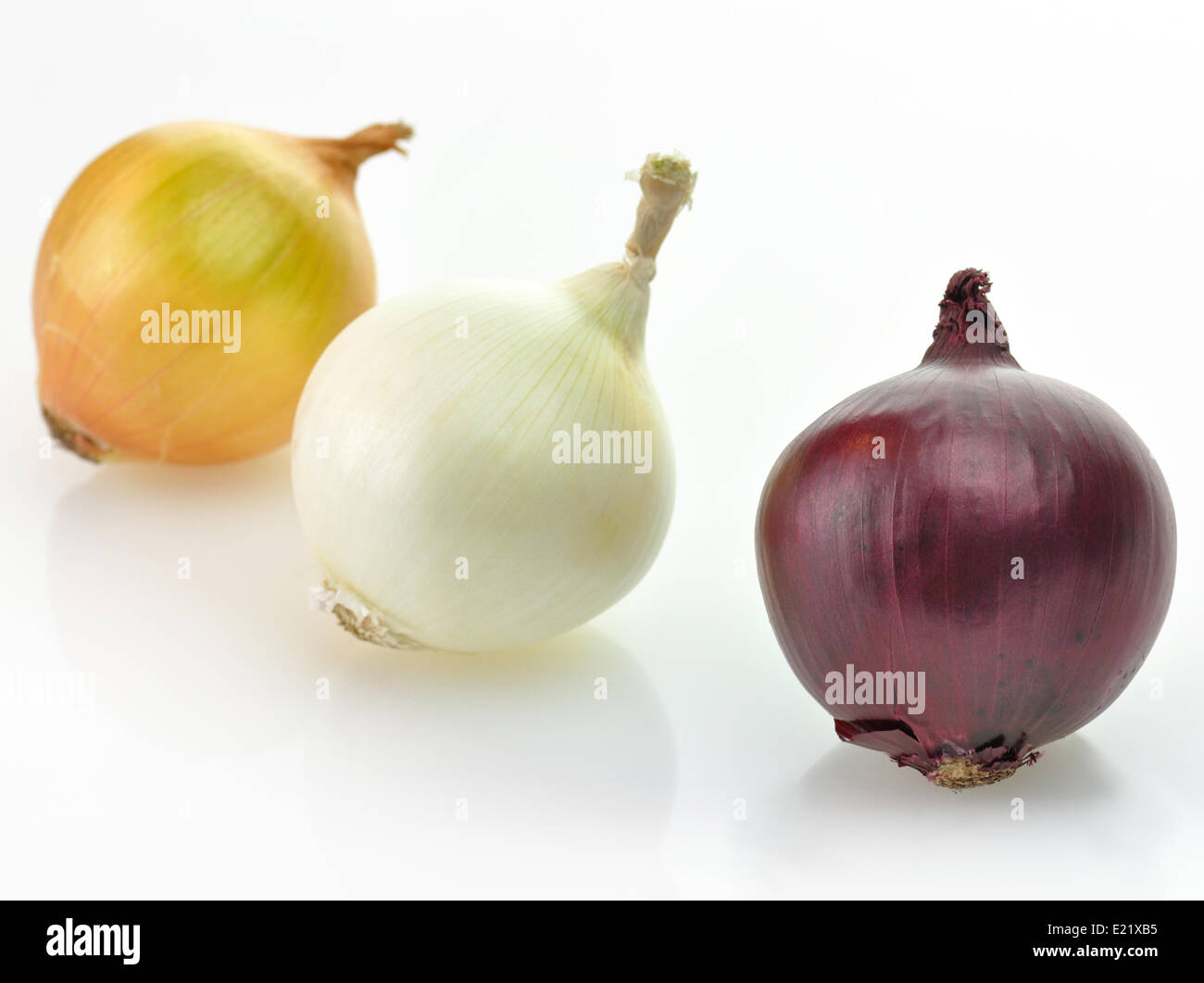 Oignons rouge blanc Banque de photographies et d’images à haute ...