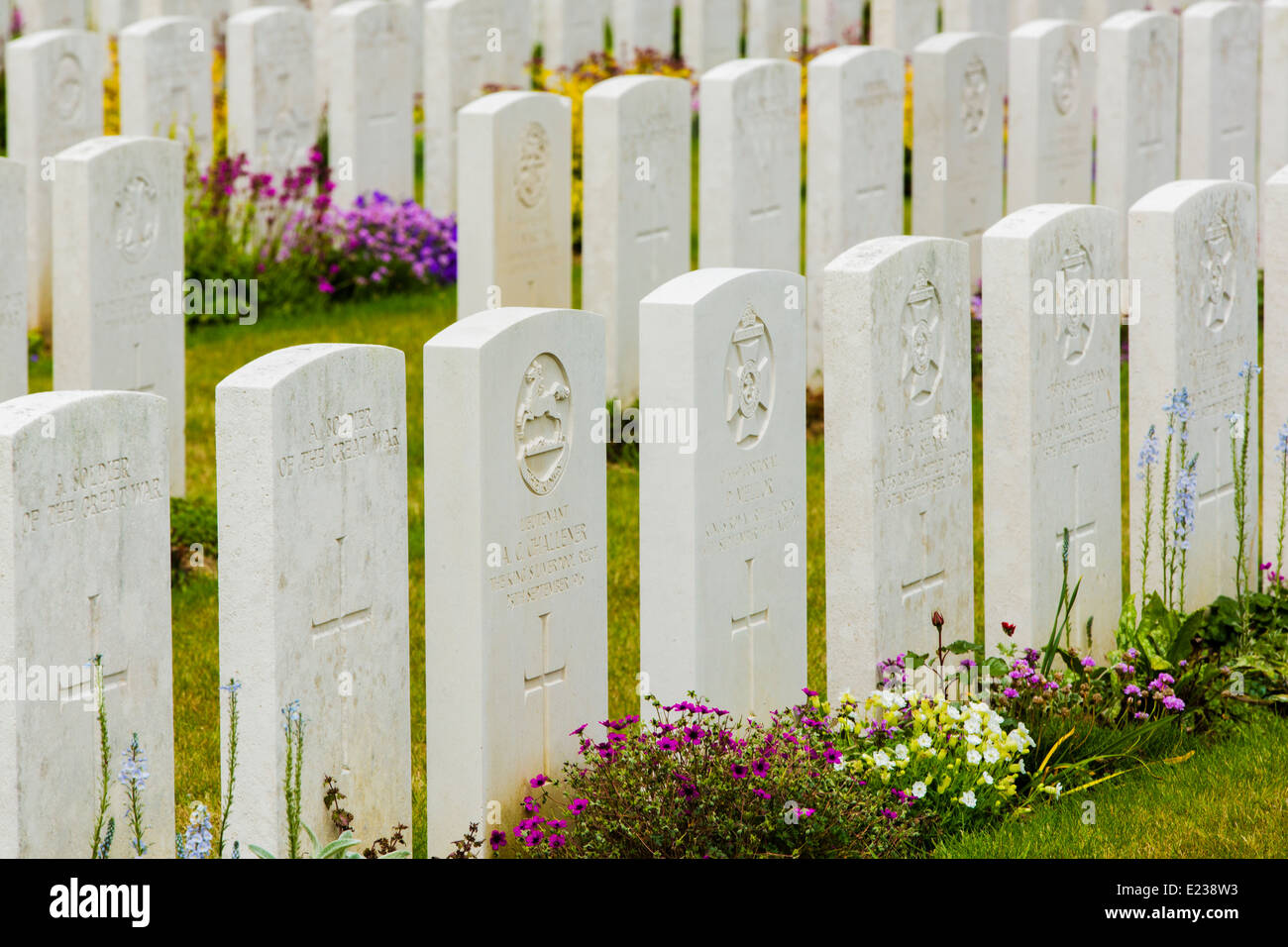 'Bulls' Route du cimetière de la Première Guerre mondiale dans le ...