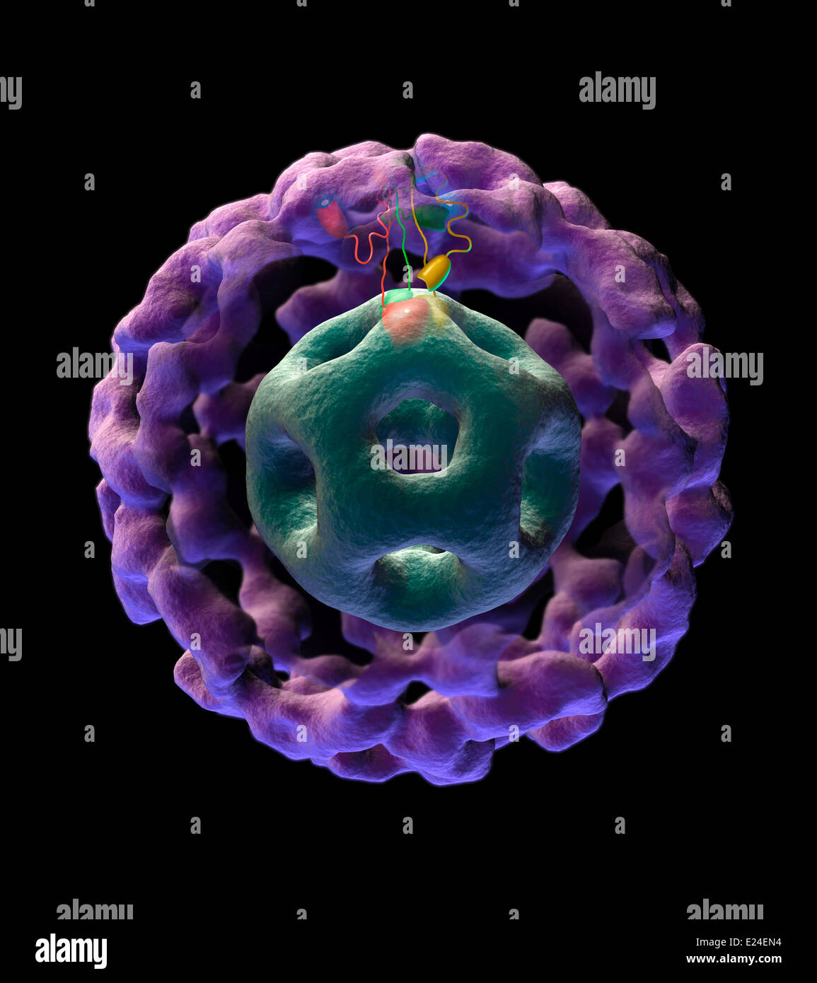 Structure complexe Banque de photographies et d’images à haute ...