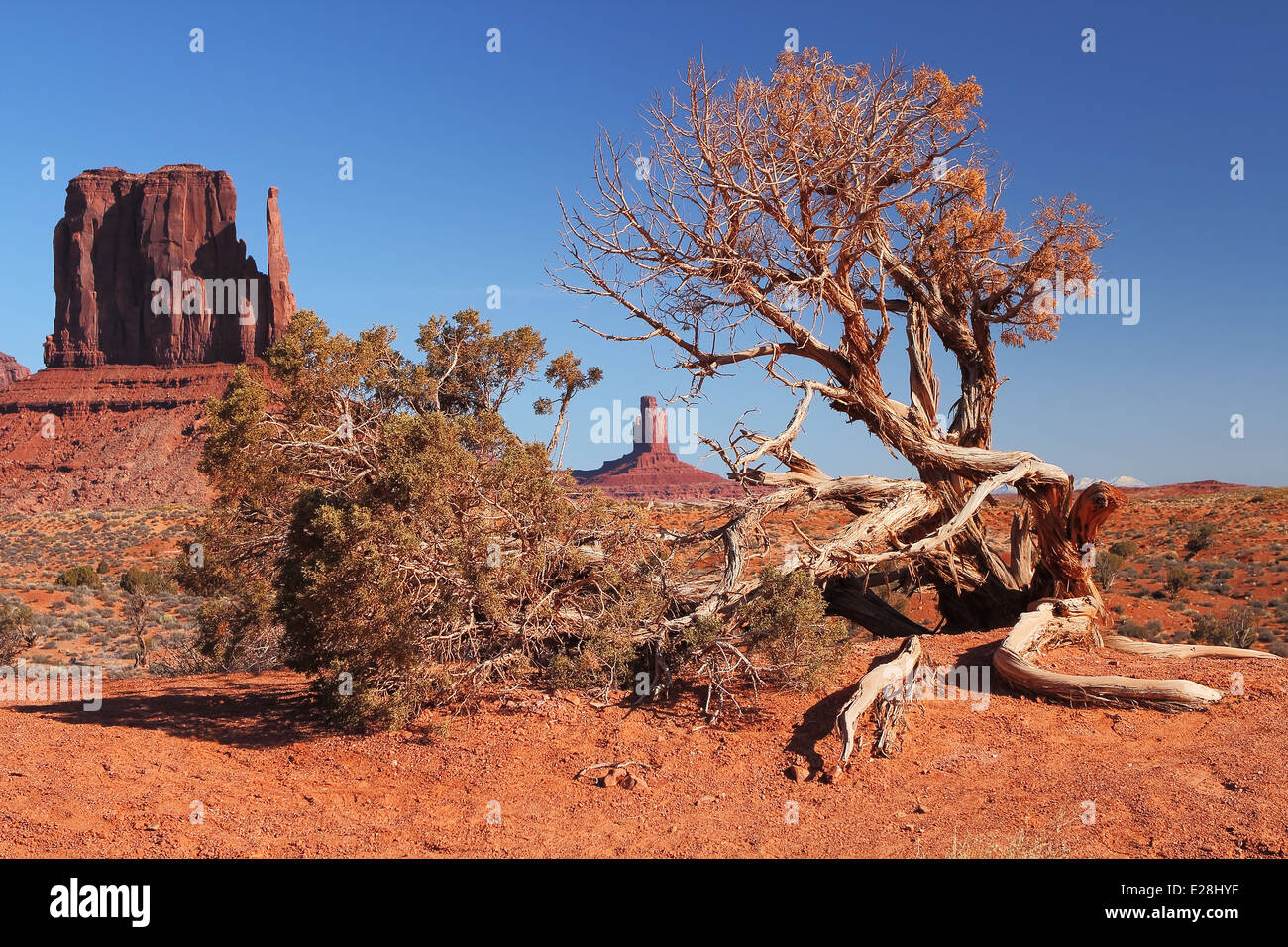 Le beau grès Navajo rouge du paysage emblématique de la Vallée de ...