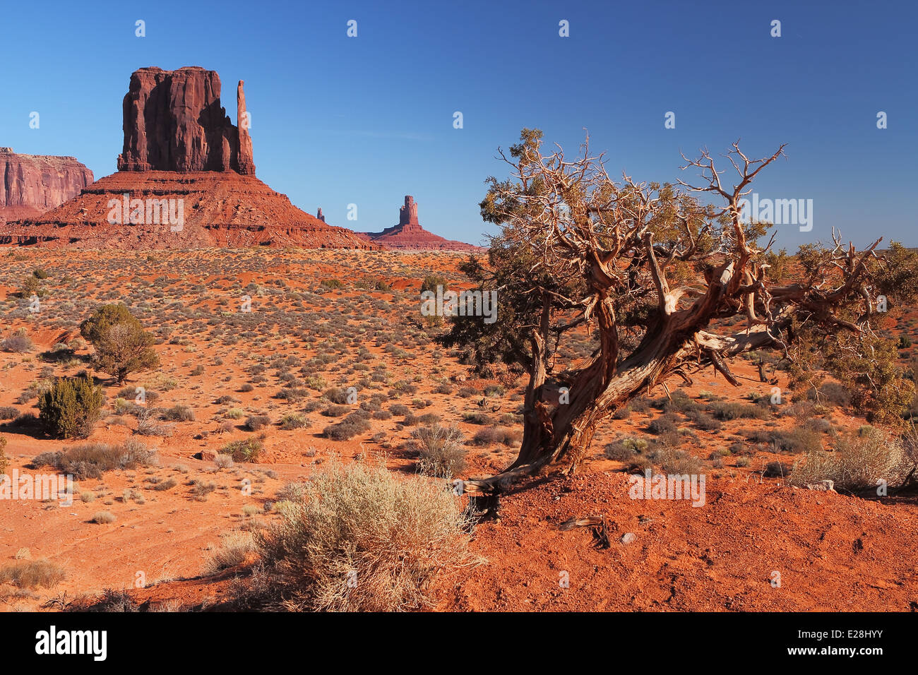 Le beau grès Navajo rouge du paysage emblématique de la Vallée de ...