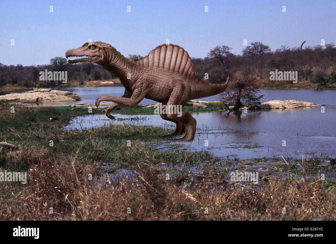 Spinosaurus cretaceous dinosaur Banque de photographies et d’images à haute résolution - Page 2 ...