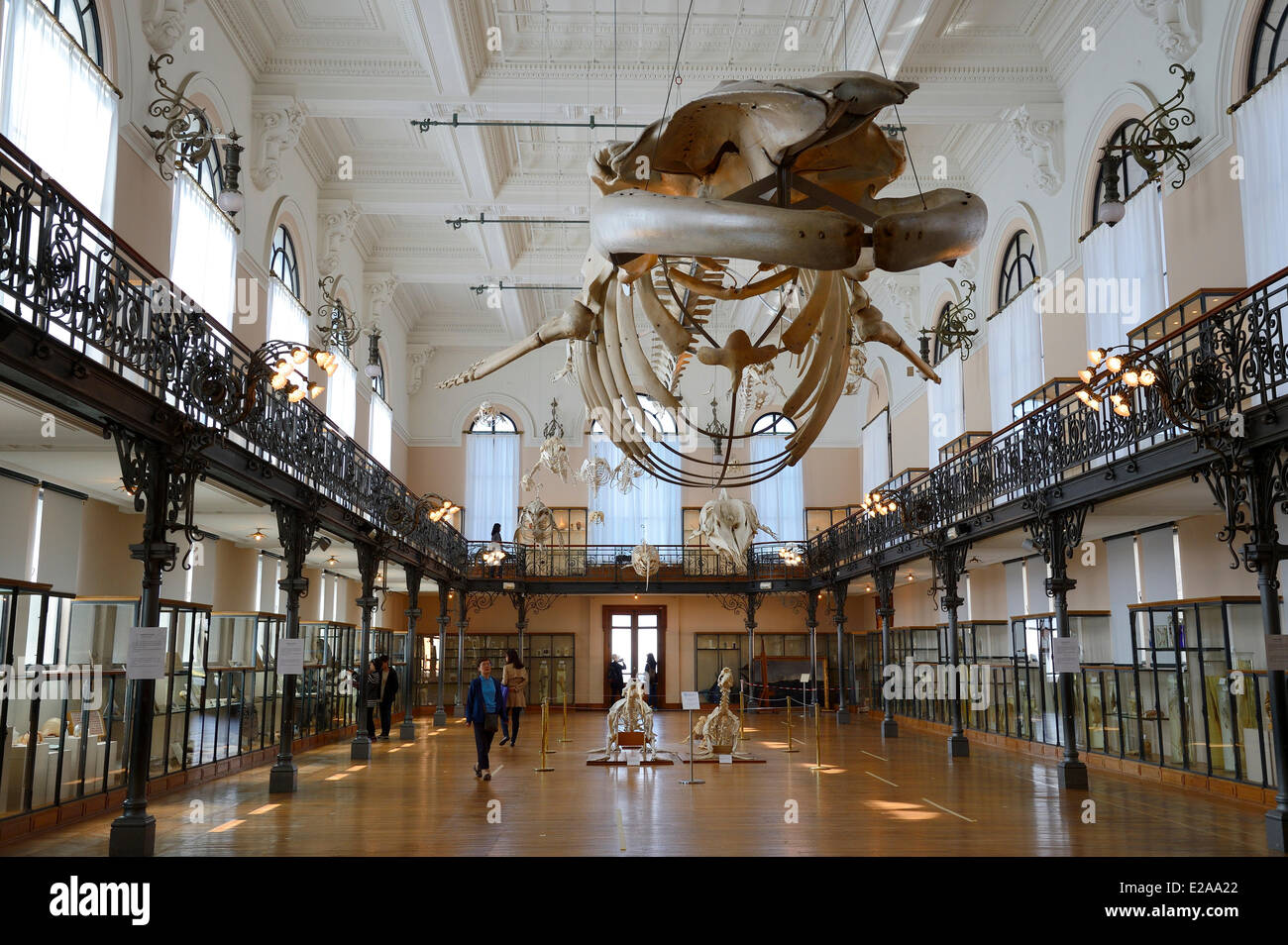 Principauté de Monaco, Monaco, le musée océanographique, le Hall des ...
