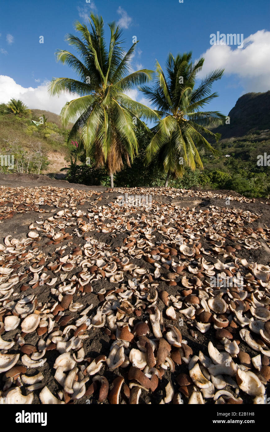 France, Polynésie Française, îles Marquises, l'île de Ua Pou, Hakahetau ...