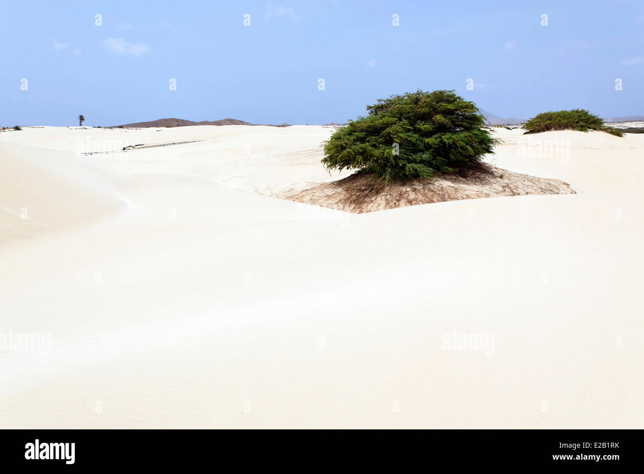 Cap Vert, Boavista, désert de Viana Photo Stock - Alamy