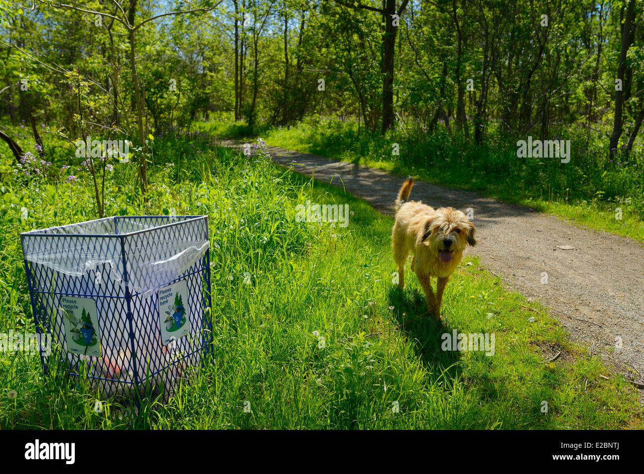 Animal waste recycling Banque de photographies et d’images à haute ...