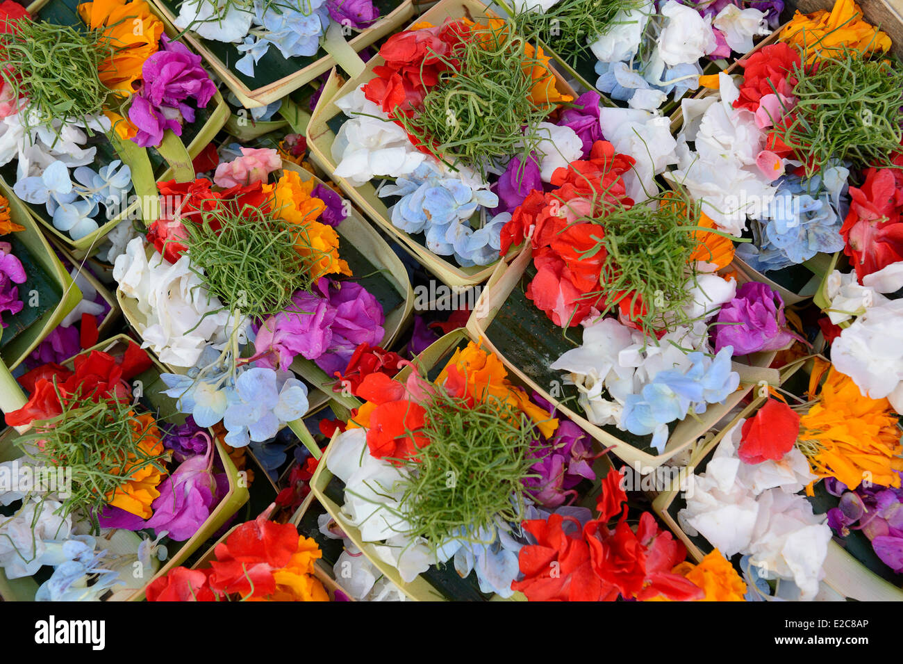 Fleurs de bali Banque de photographies et d’images à haute résolution ...