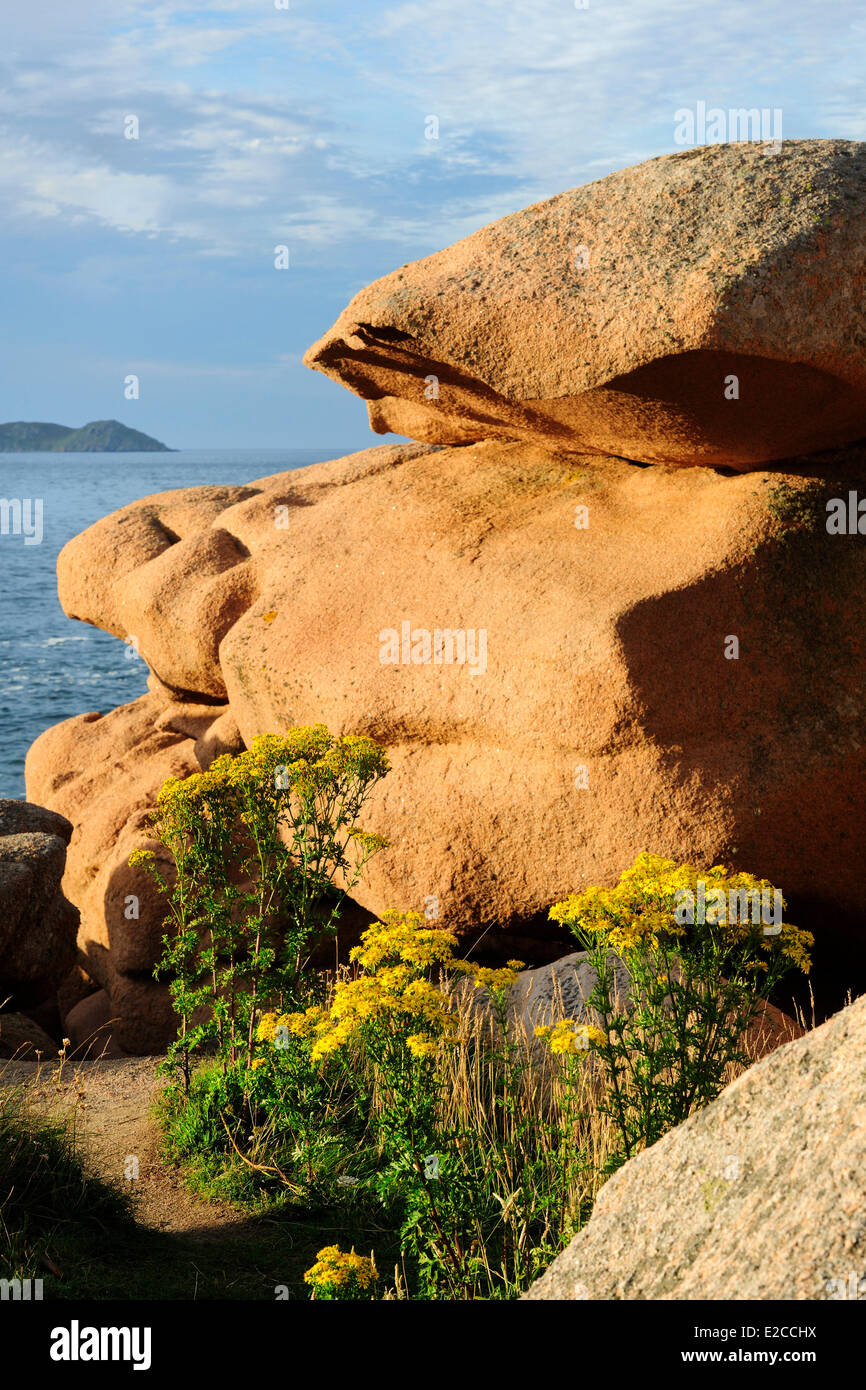 France, Cotes d'Armor, Côte de Granit Rose Côte de Granit Rose ...