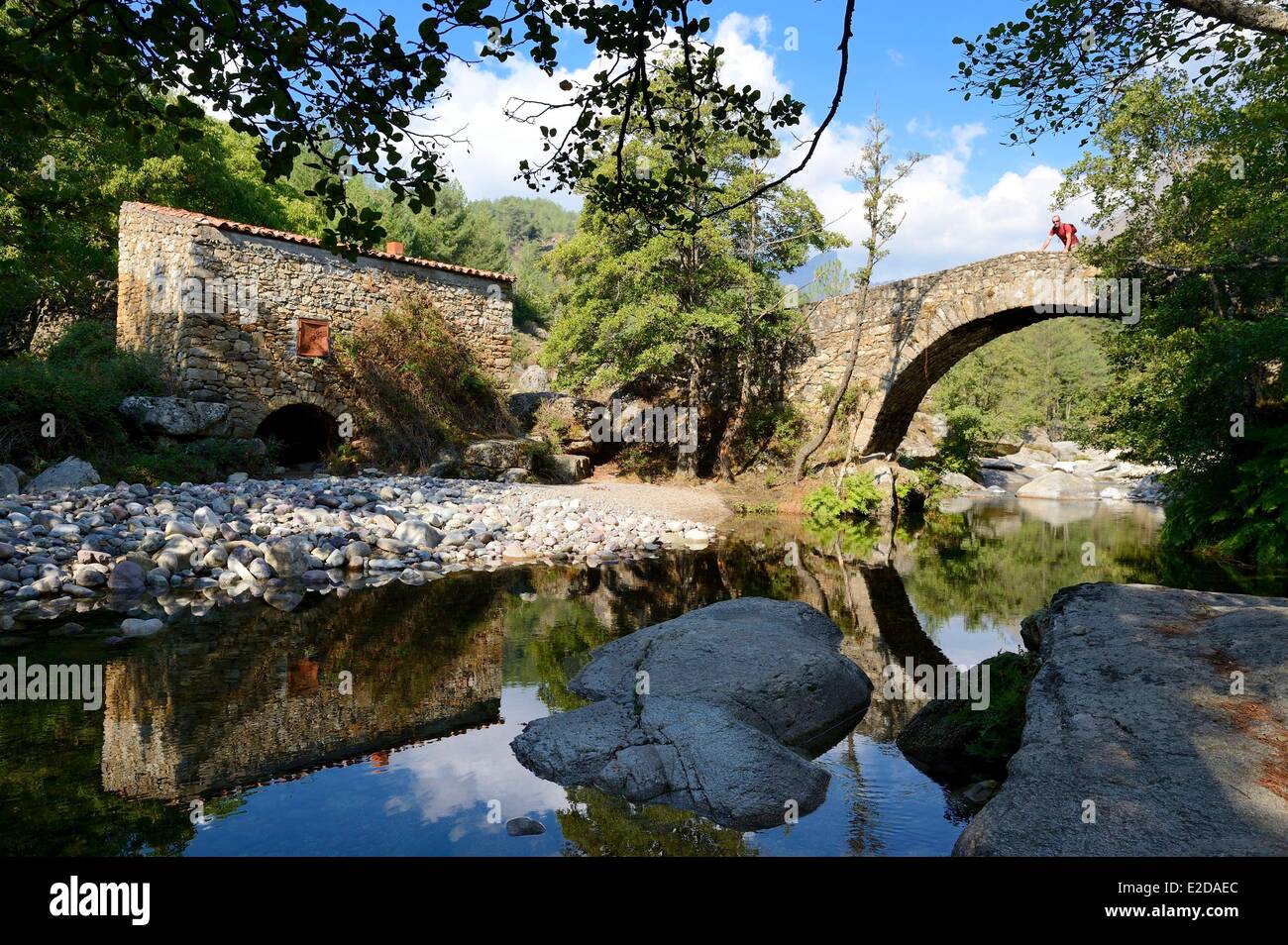 France, Haute Corse, Niolu (Niolo) région, pont génois de Murricciolu ...
