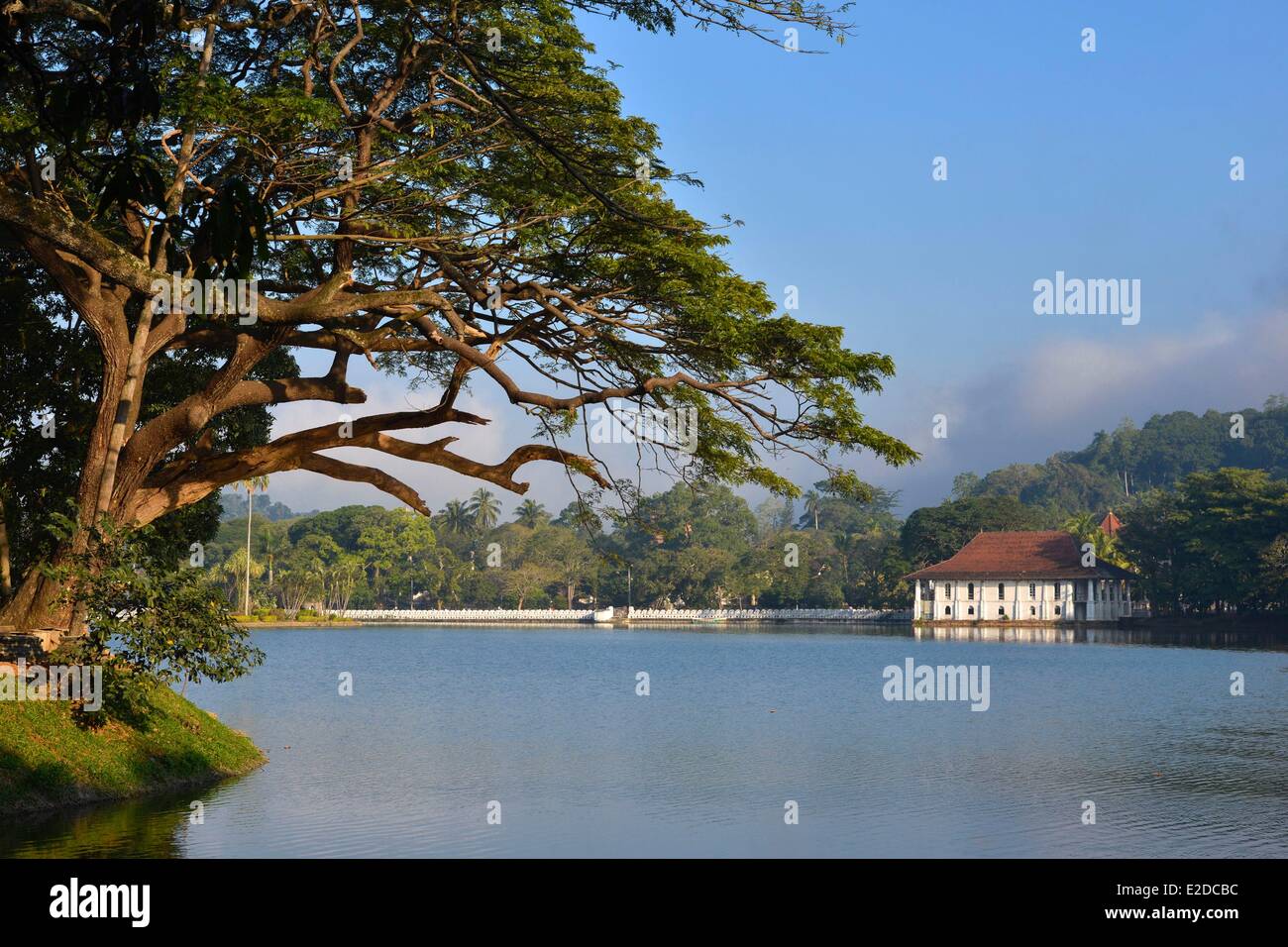 Sri Lanka Kandy Kandy Central Province District vu sur le lac avec l ...