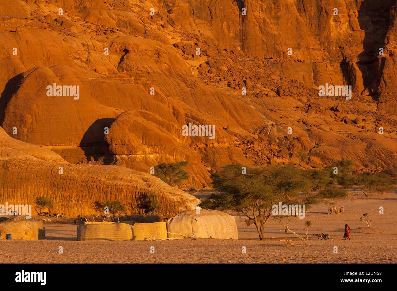 Le sud du Tchad Sahara Ennedi massif Archei camp nomade Toubou Photo ...