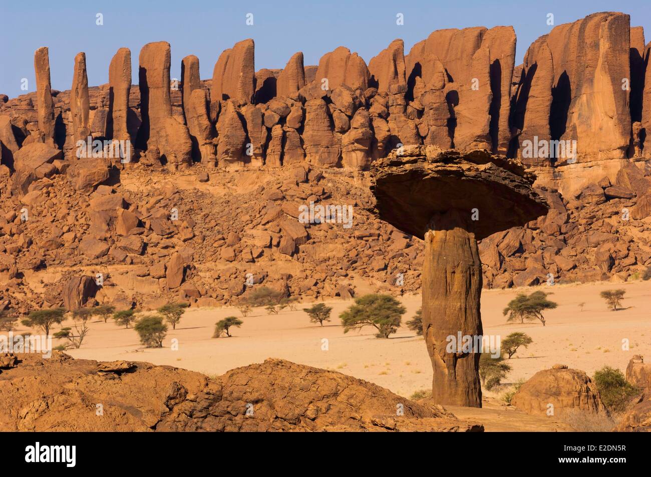 Le sud du Tchad Sahara Ennedi et champignons de grès massif des ...