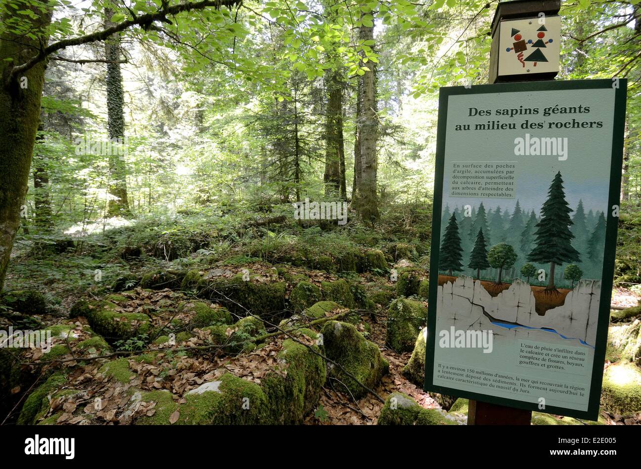 France Jura Champagnole vers la forêt de la Joux Réserve Biologique ...