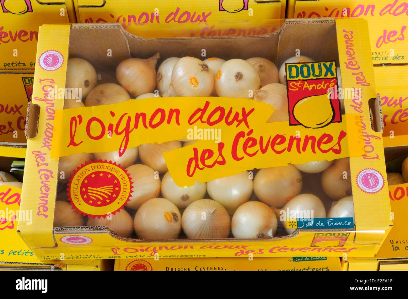 Oignon doux cevennes Banque de photographies et d’images à haute ...