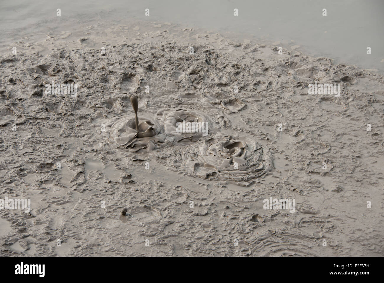 Bulle de boue de la zone volcanique de taupo Banque de photographies et ...