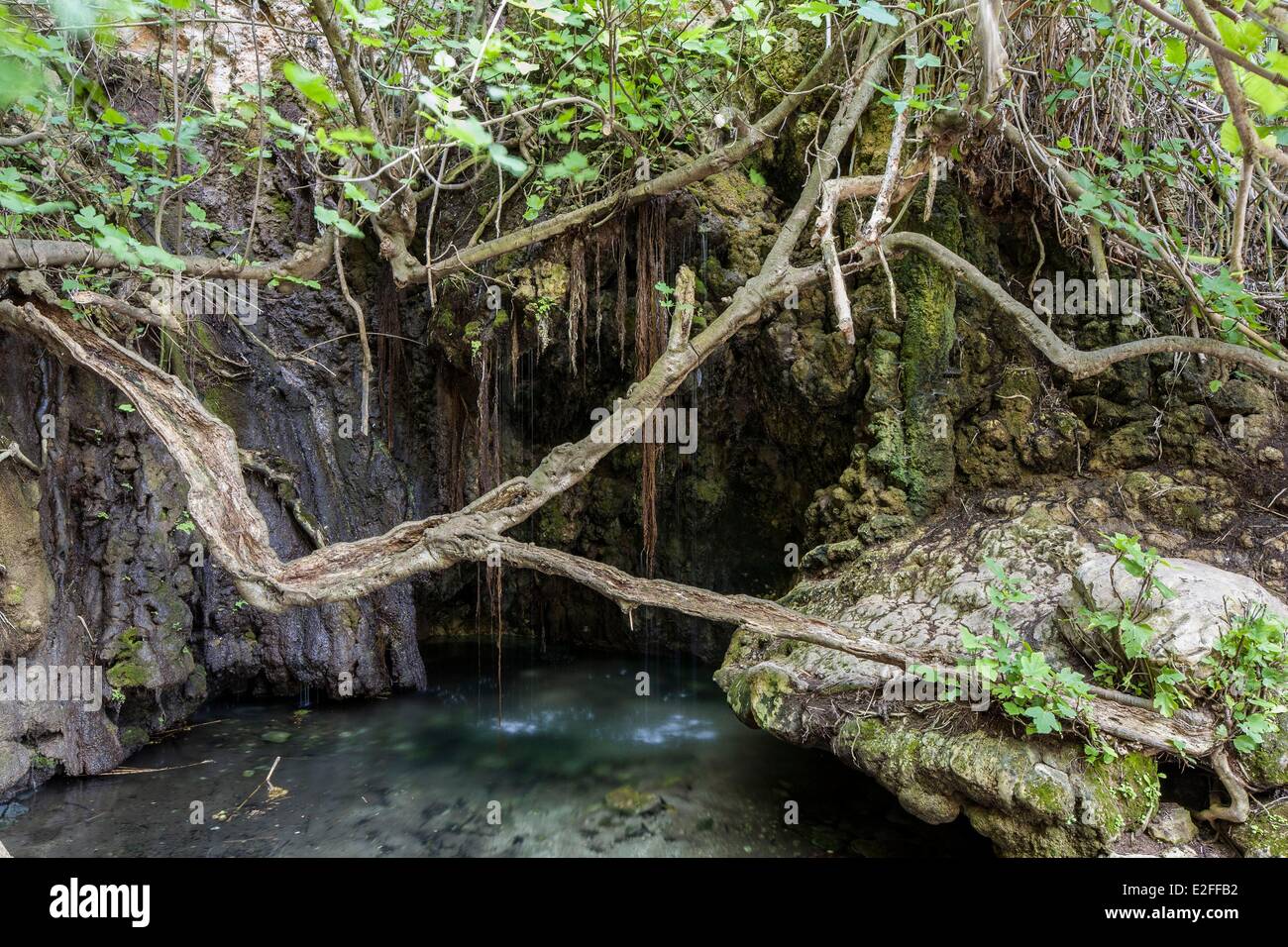 Adonis baths Banque de photographies et d’images à haute résolution - Alamy