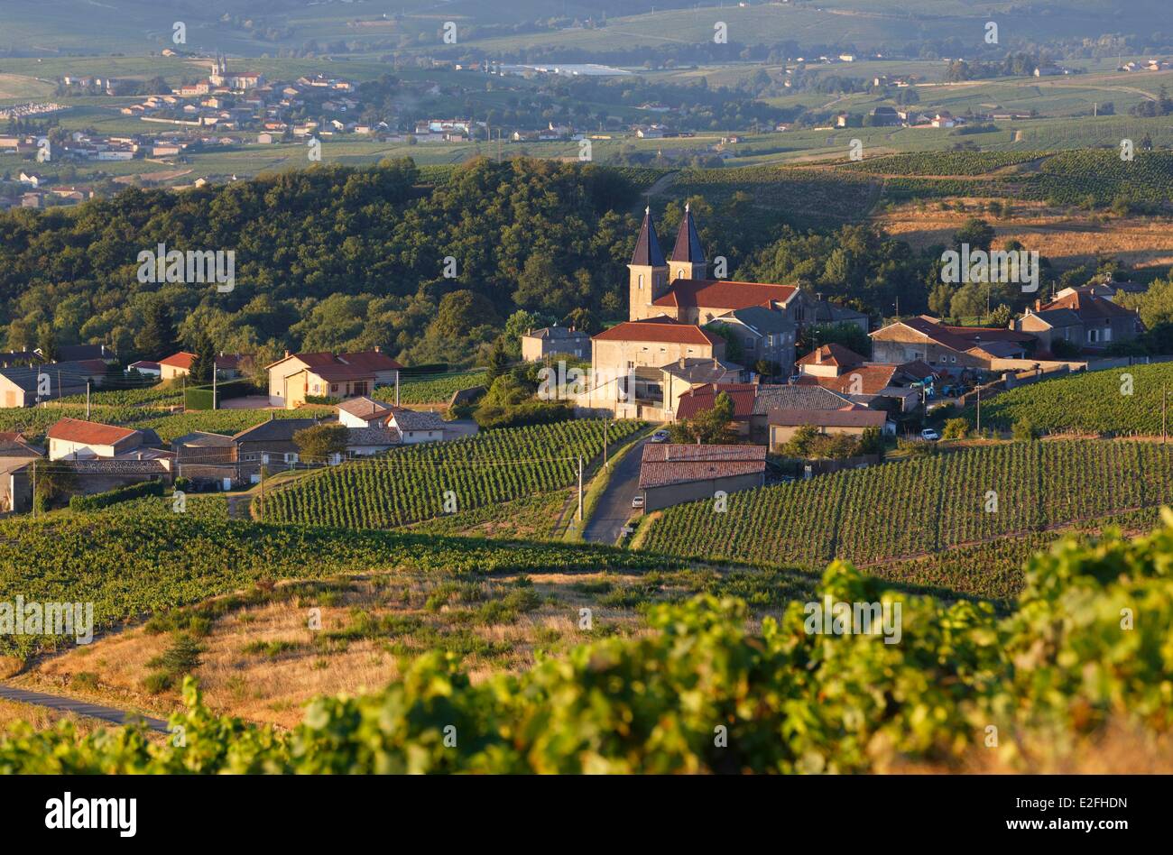 Villie morgon Banque de photographies et d’images à haute résolution ...