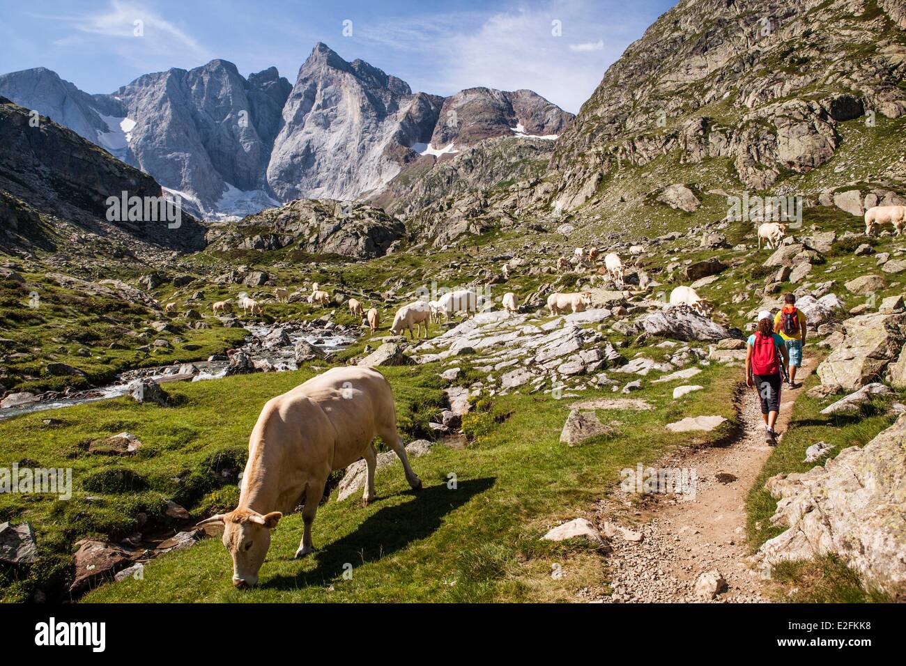 France Hautes Pyrenees Pyrenees National Park GR10 grande randonnee ...